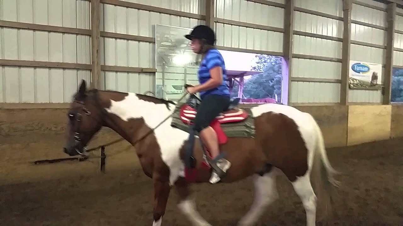 Tamarack stables Michelle and Arrow - YouTube
