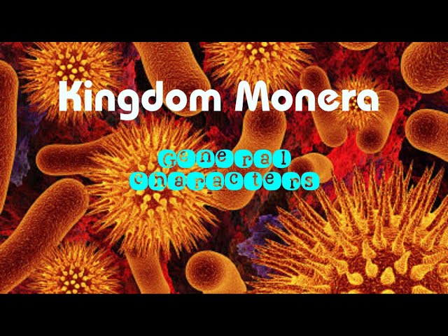Monera Bacteria Kingdom Kingdom Monera | PDF | Archaea | Bacteria