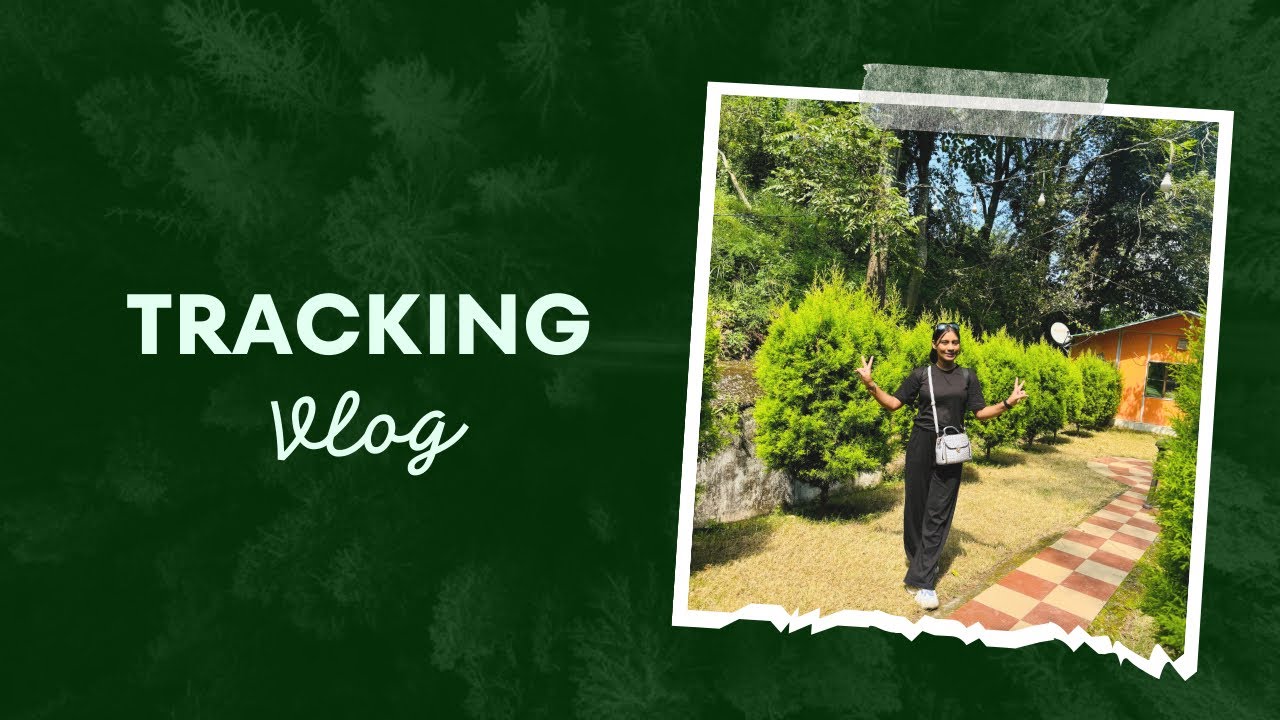 Tracking vlog || tracking area || tracking Himachal || pine trails ...