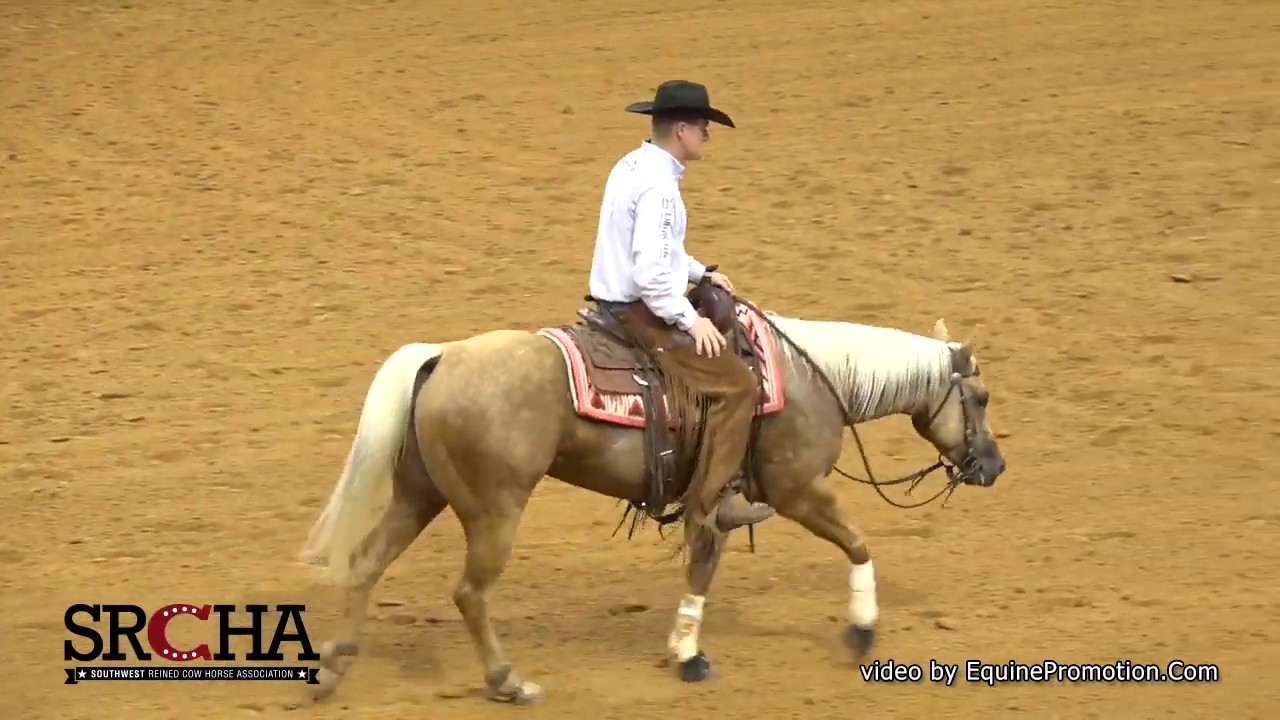 SJR Diamond Suzanne shown by Clay Volmer - 2019 SRCHA Pre-Futurity ...