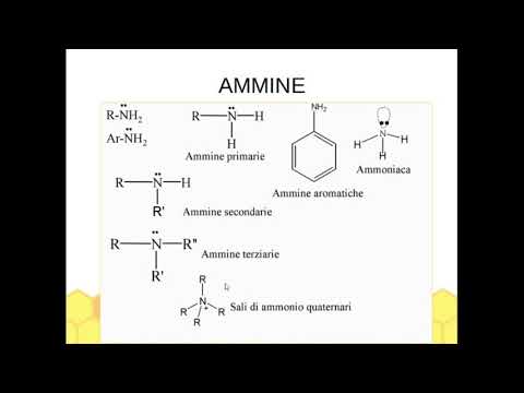 Gruppi funzionali e nomenclatura di ESTERI e AMMINE - YouTube