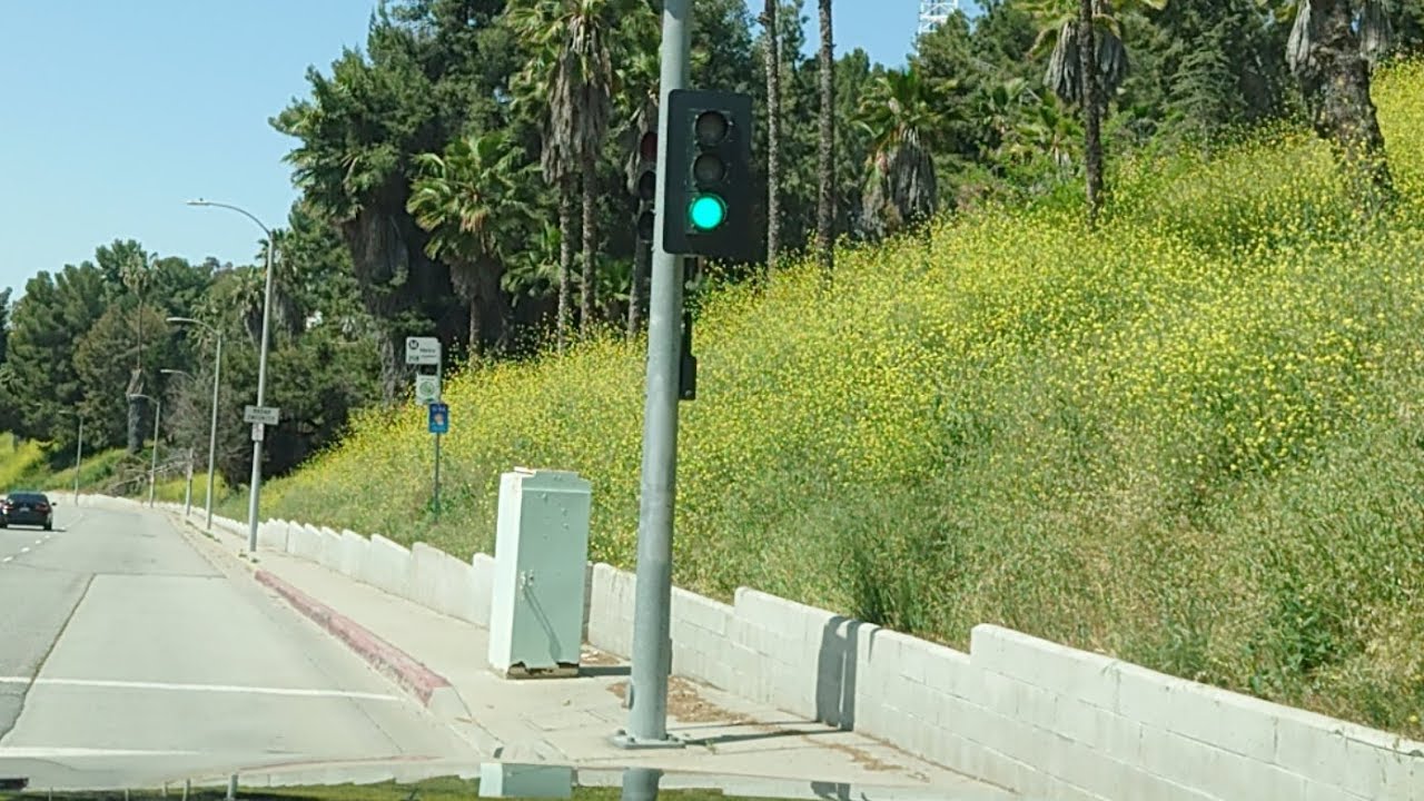 LA 🇺🇸 4/23/2023 Daily Driving in LA - YouTube