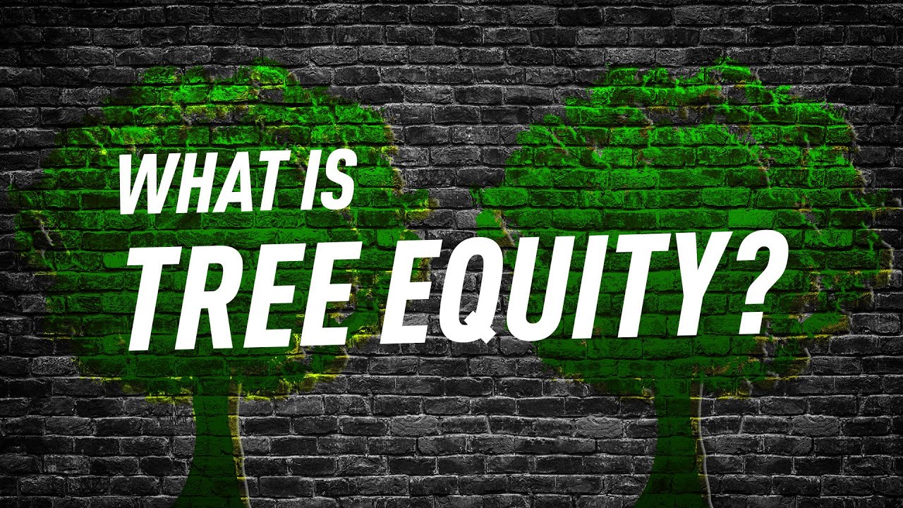 What "Tree Equity" Has To Do With Our Climate Crisis | The Recount ...