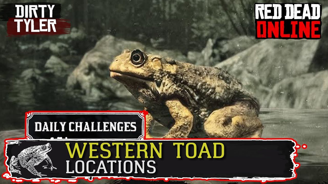 Western Toad Locations Red Dead Online RDR2 Western Toad Daily ...