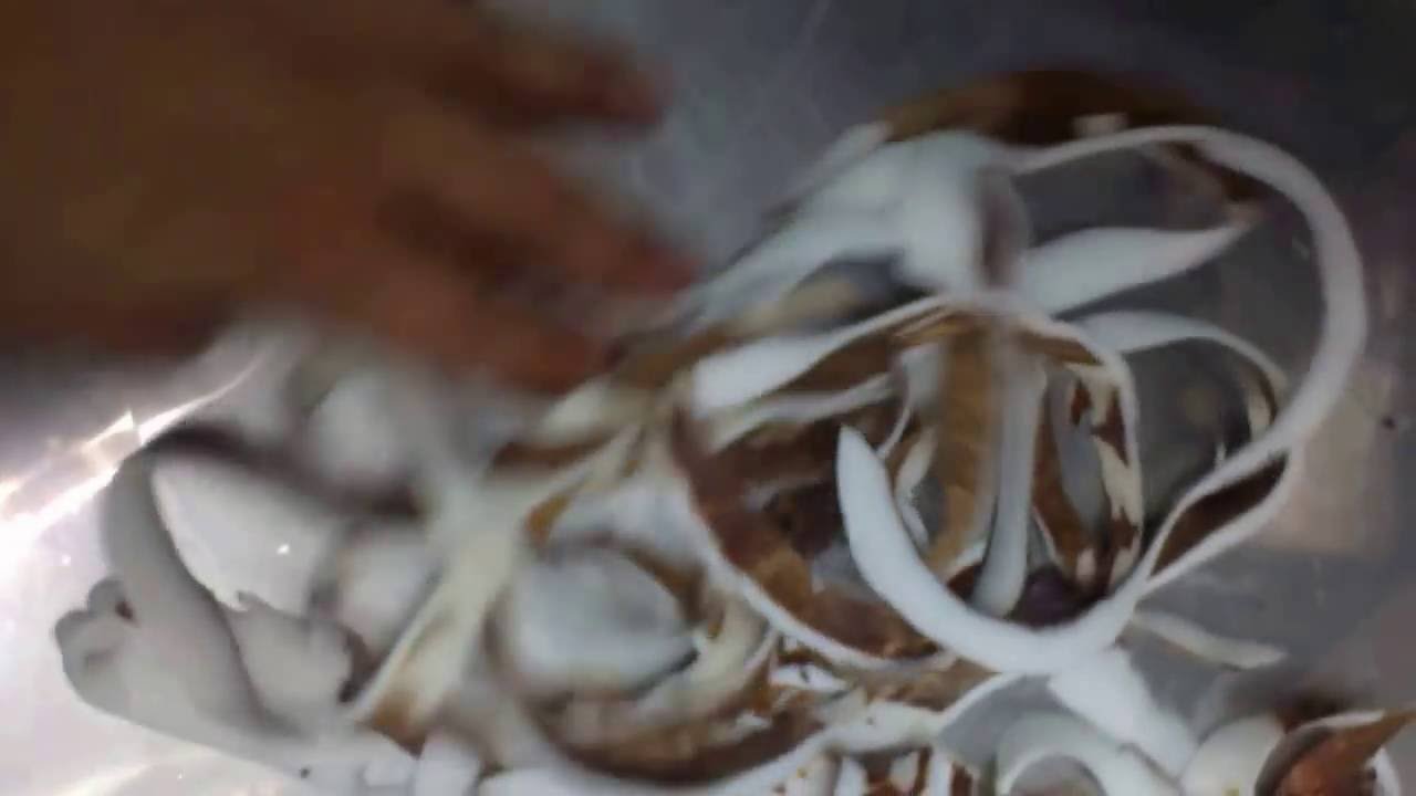 Coconut sheller peeling machine - YouTube