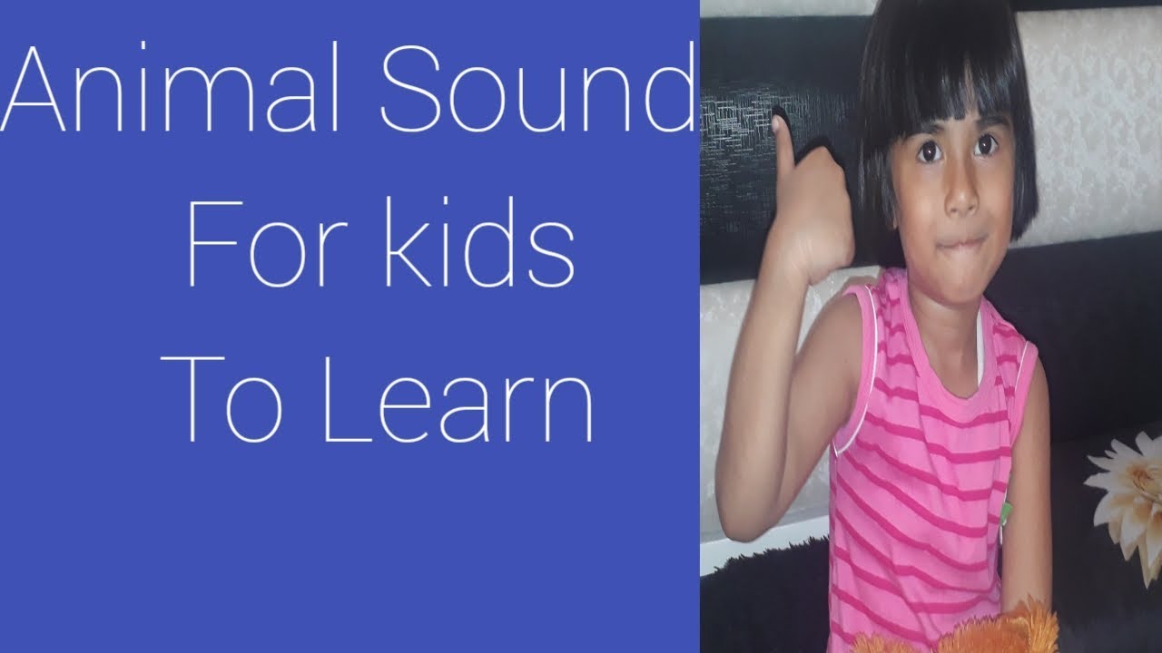 ANIMALS SOUNDS FOR KIDS TO LEARN IN EASY WAY.. - YouTube