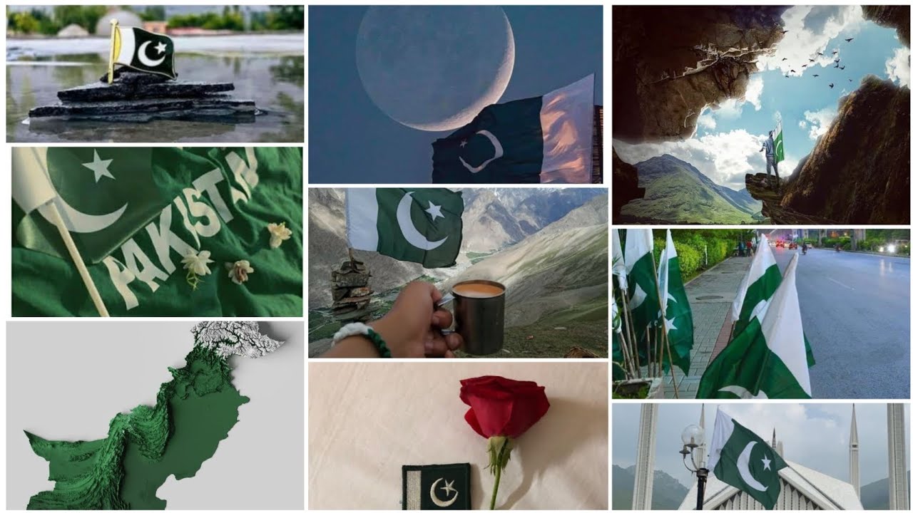 independence day dps for Whatsapp Insta| 14 August dps | green flag dps ...
