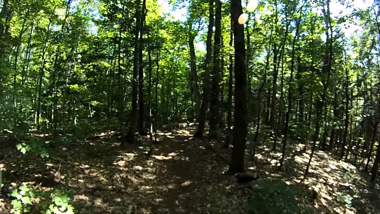 Walking the Turtle Lake Trail - YouTube