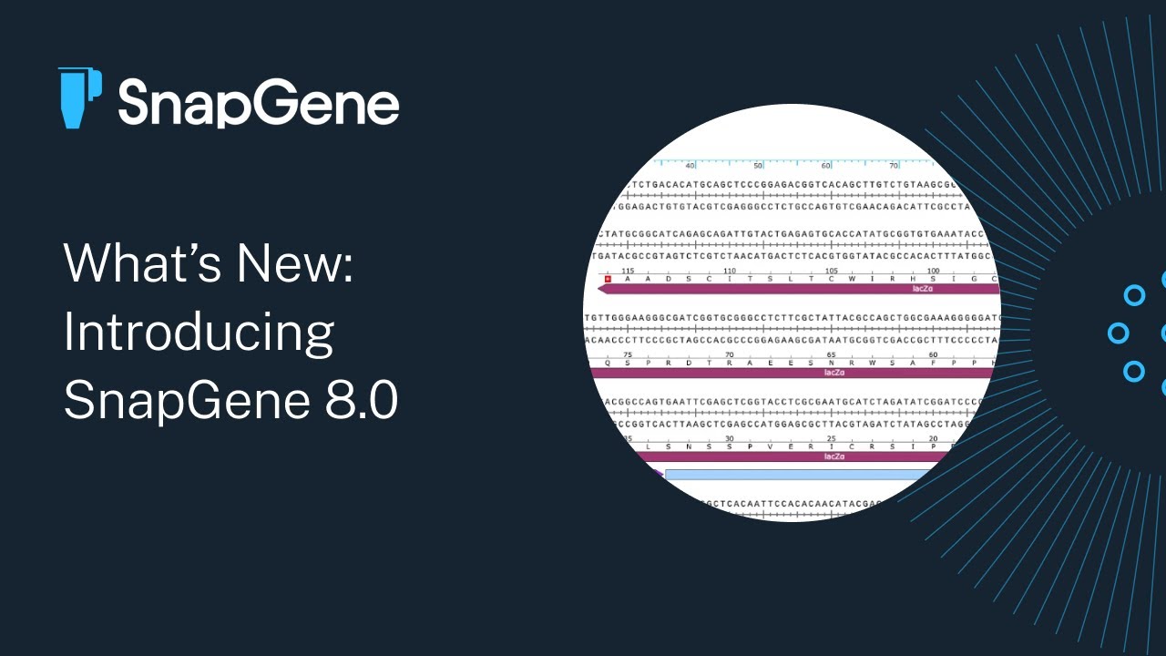 What's New in SnapGene 8.0 - YouTube