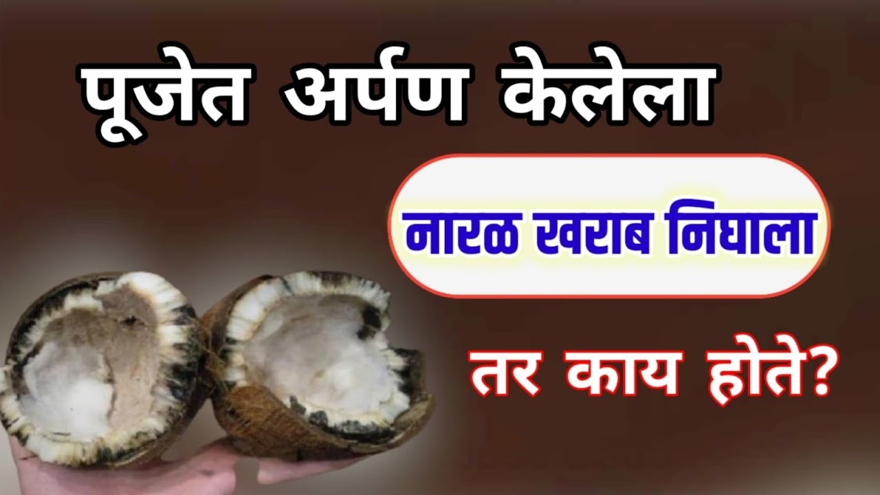 पूजेत अर्पण केलेला नारळ खराब निघाला तर काय होते? Pujecha naral kharab ...