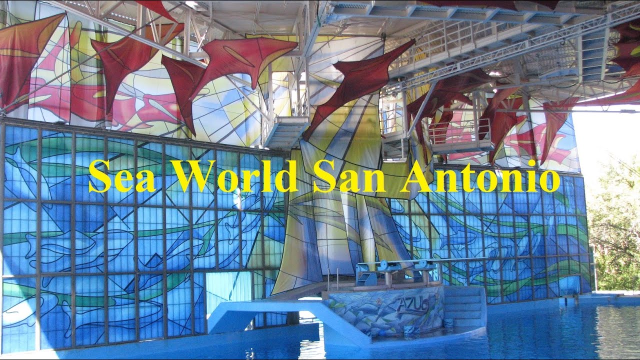 Sea World San Antonio #seaworld #seaworldsanantonio #sanantonio #azul # ...