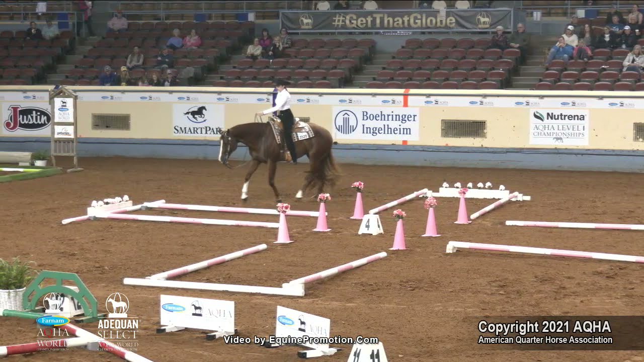 2021 AQHA Amateur Trail - YouTube
