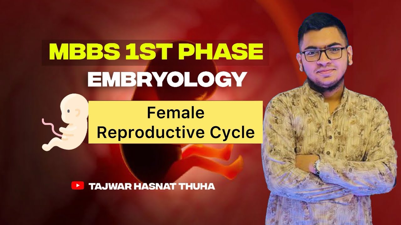 Female Reproductive Cycle - Menstrual cycle- Ovarian cycle— Full ...