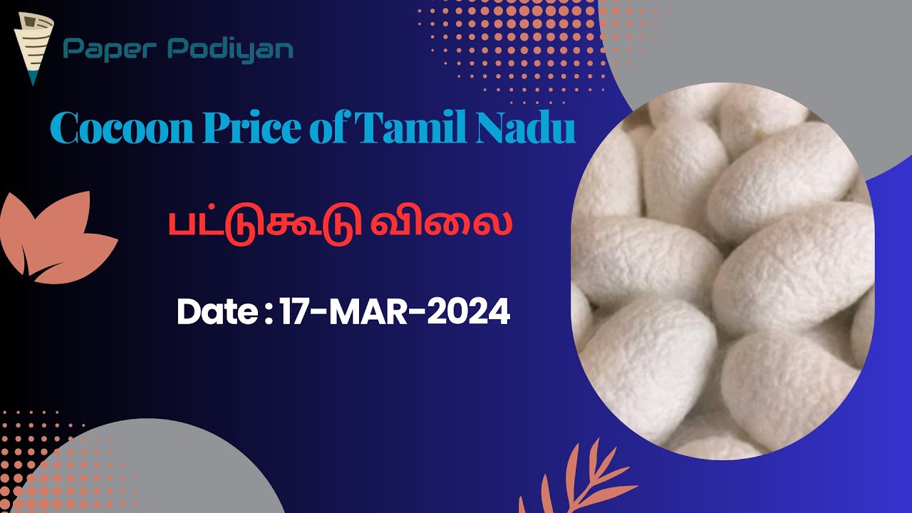 Mulberry Cocoon Price-17-03-25 |#பட்டுகூடுவிலை #mulberrycocoonrate # ...