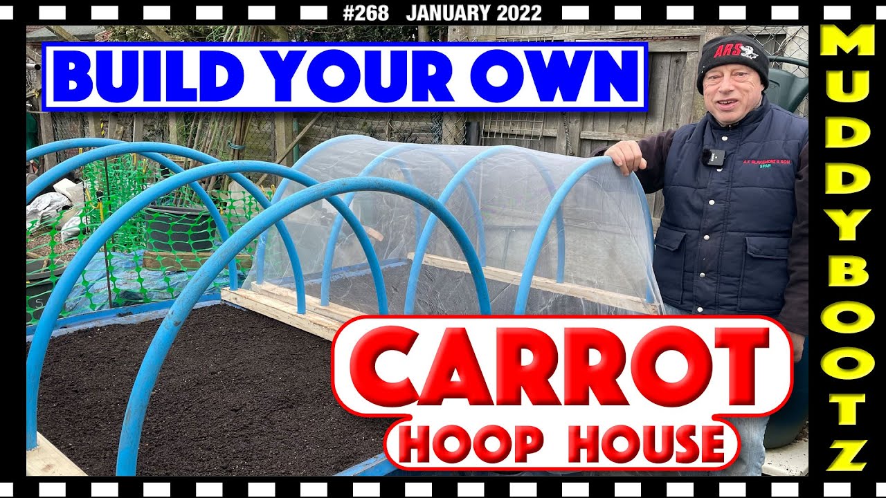 🌻268 🌻 EASY BUILD CARROT HOOP HOUSE 🌻 BUILD YOUR OWN 🌻 - YouTube