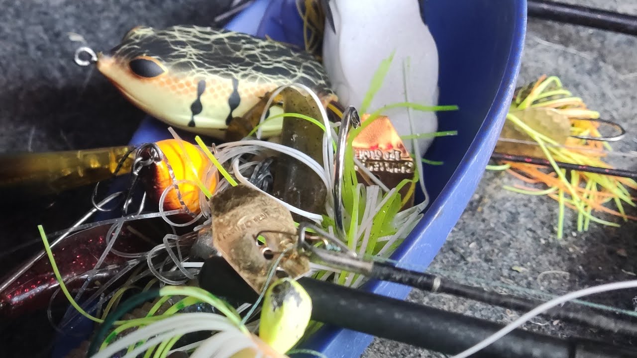 JIGS: BUZZ BAIT , SPINNER BAIT , CHATTER BAIT - YouTube