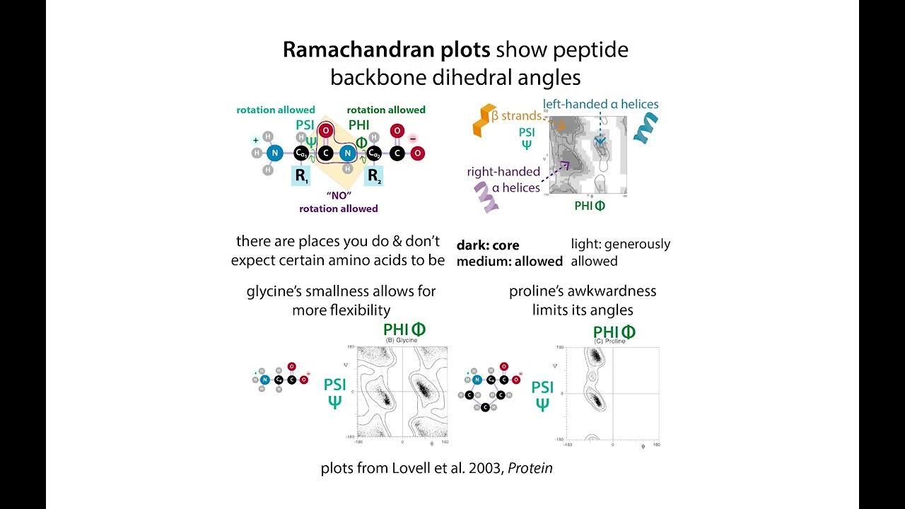 Understanding & exploring & Ramachandran plots & Phi/Psi angles w/o getting bogged down in ...