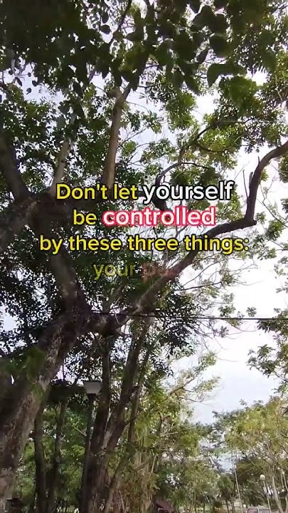 Don't let yourself be controlled #shortsvideo #shortsyoutube # ...