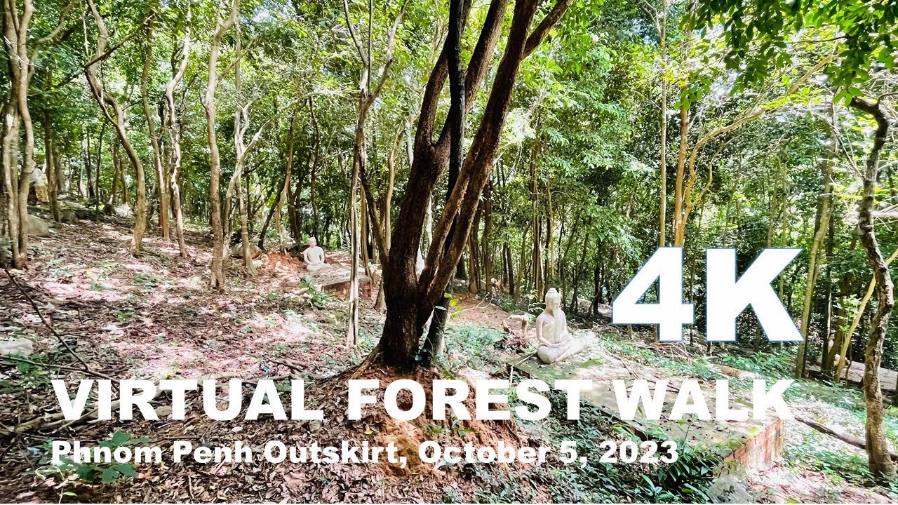 4K Virtual Forest Walk along the green forest outskirt, Phnom Penh, Cambodia Healing, Relaxing ...