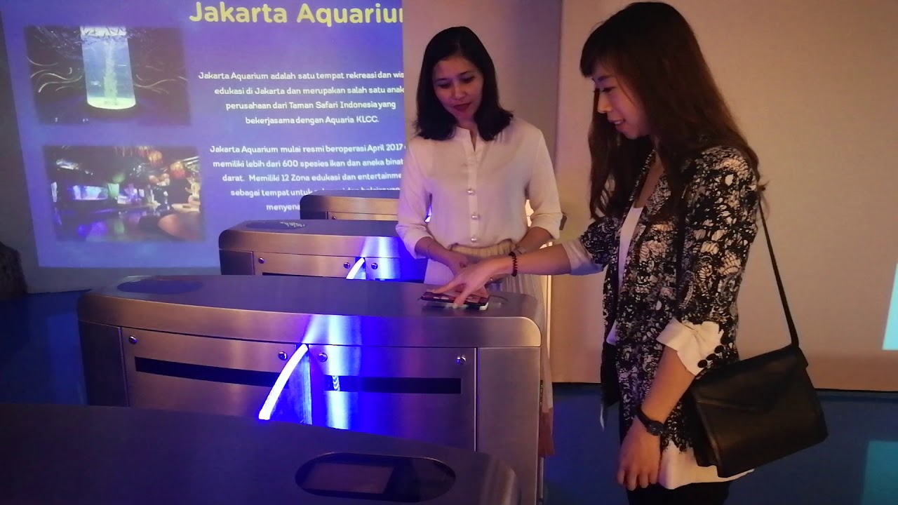 Directly enter attraction using Chinese based OTA App - YouTube