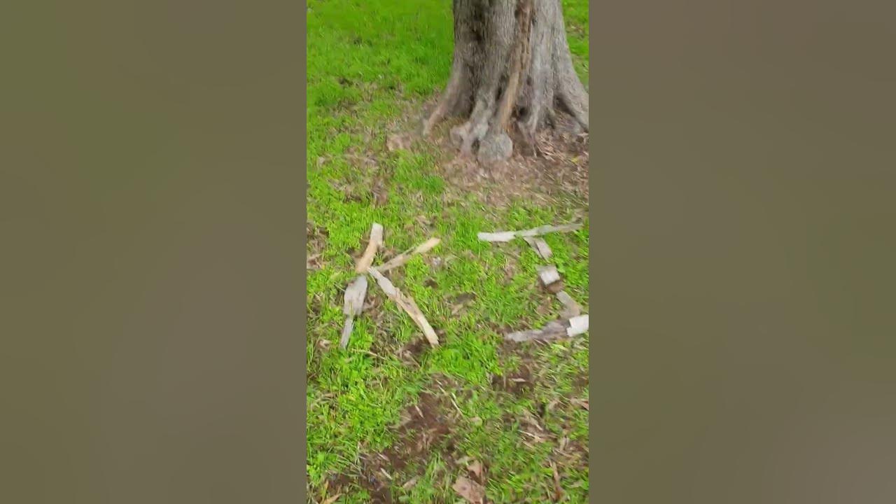 Possible Assailant YouTube possible-assailant-youtube
