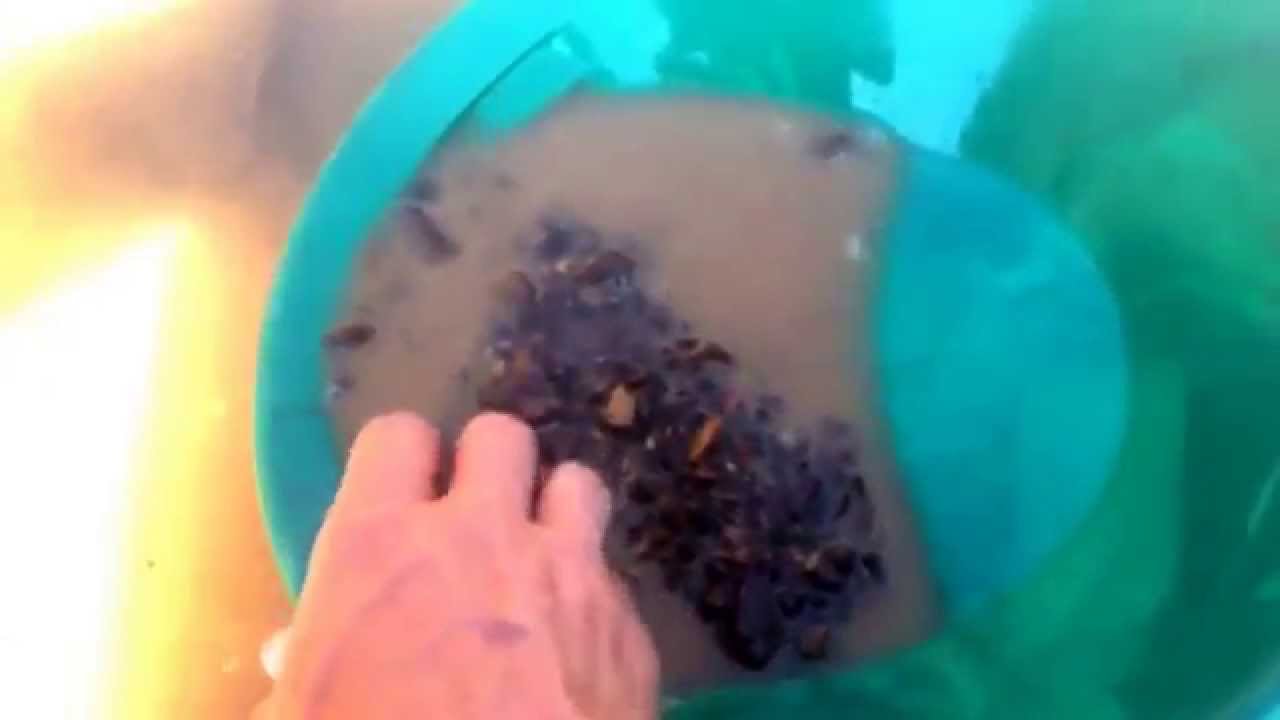 Gold panning southern Ohio - YouTube