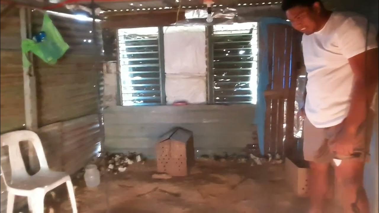 Farm visit sa Jocap Gamefarm sa Tarlac| World Gamefowl Expo Malapit na. - YouTube