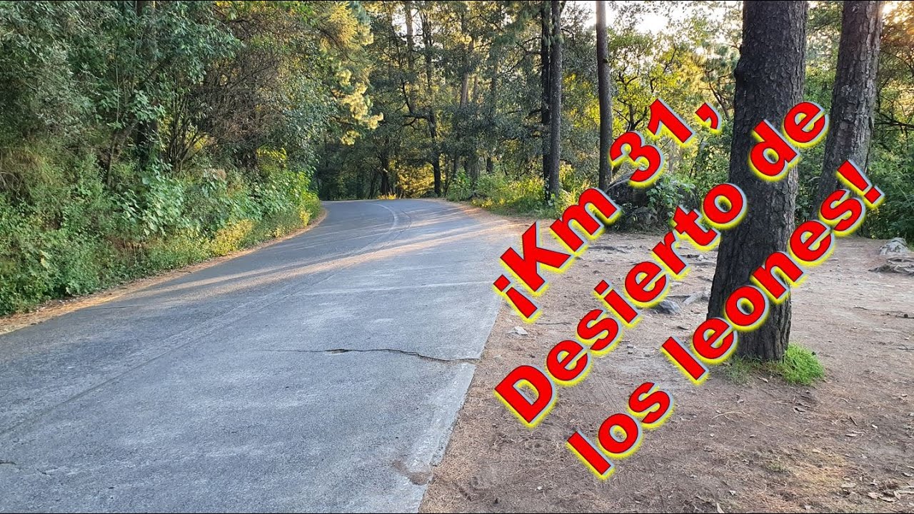 Km 31 del Desierto de los leones - YouTube