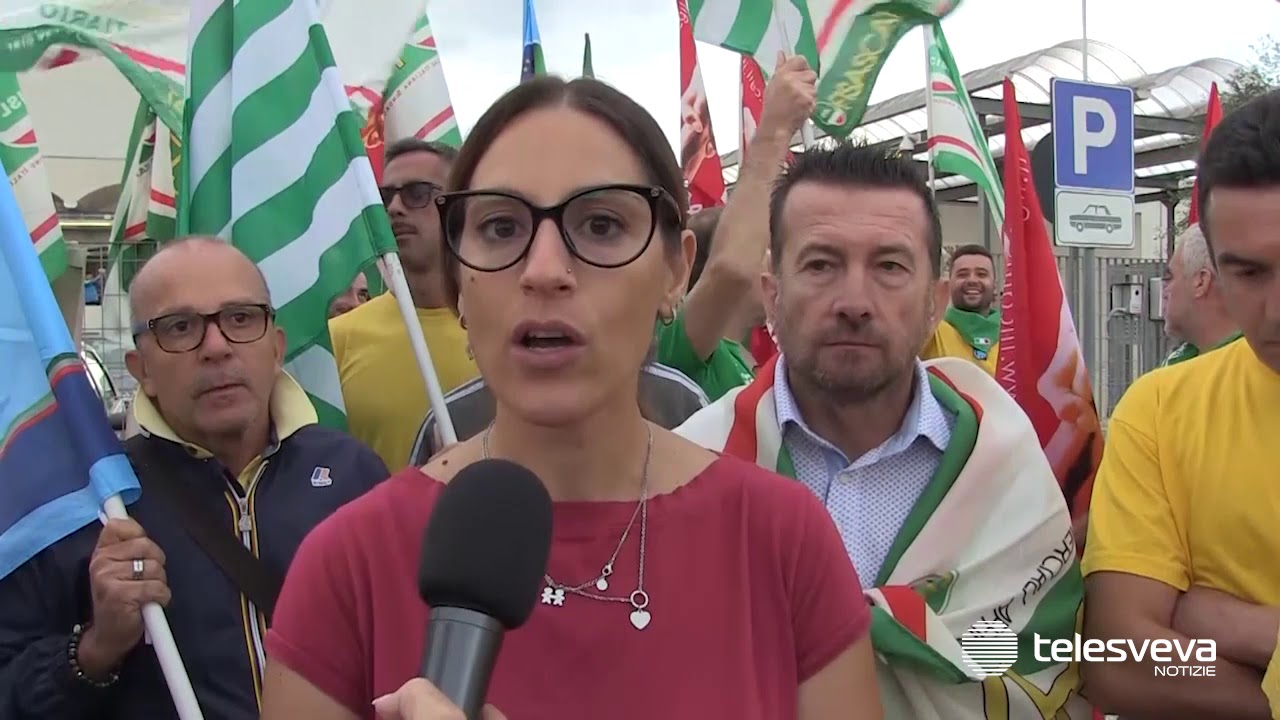 MOLFETTA | Sit-in dei dipendenti della piattaforma logistica Megamark ...