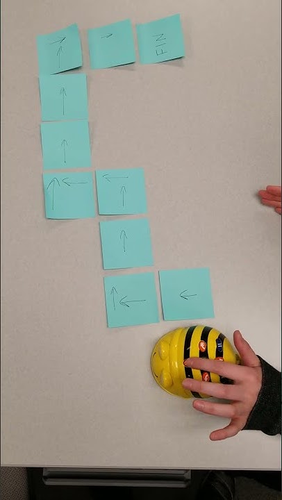 Coding - Bee Bot #1 - YouTube