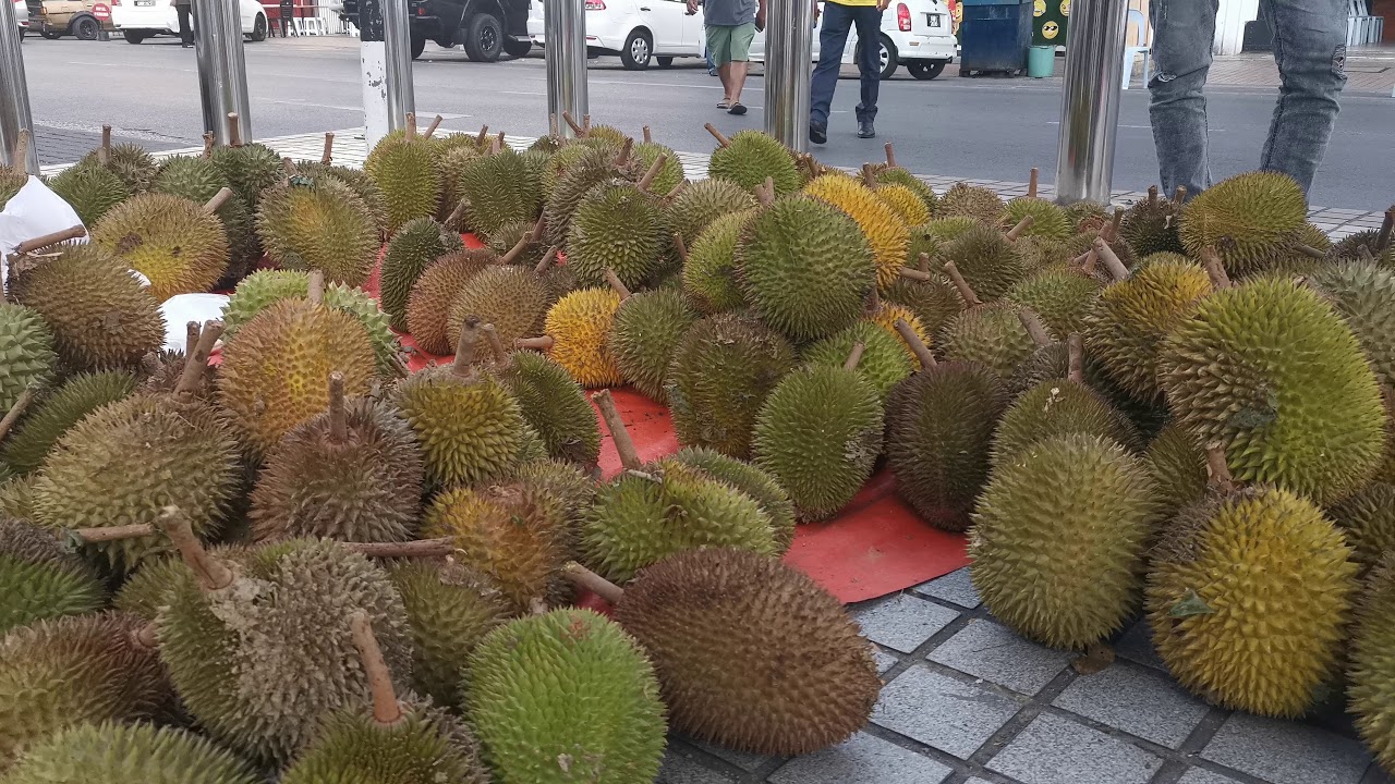 Durian - YouTube