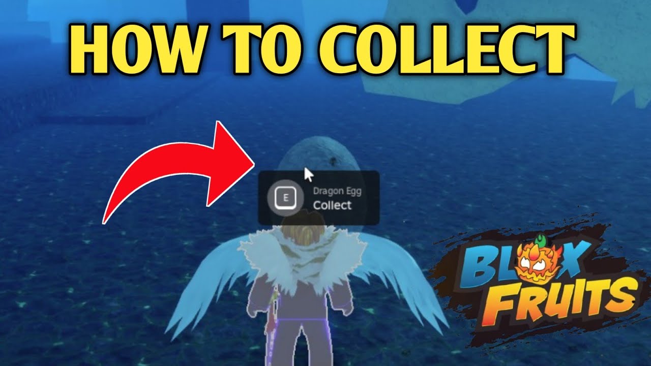 How To Collect Dragon Egg In Blox Fruits | Dragon Egg Blox Fruits - YouTube