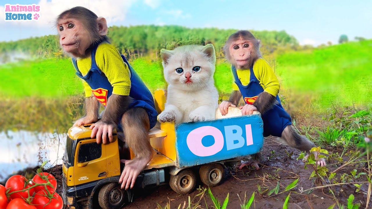 The hero Obi helps his friends out of the disaster | full version - YouTube