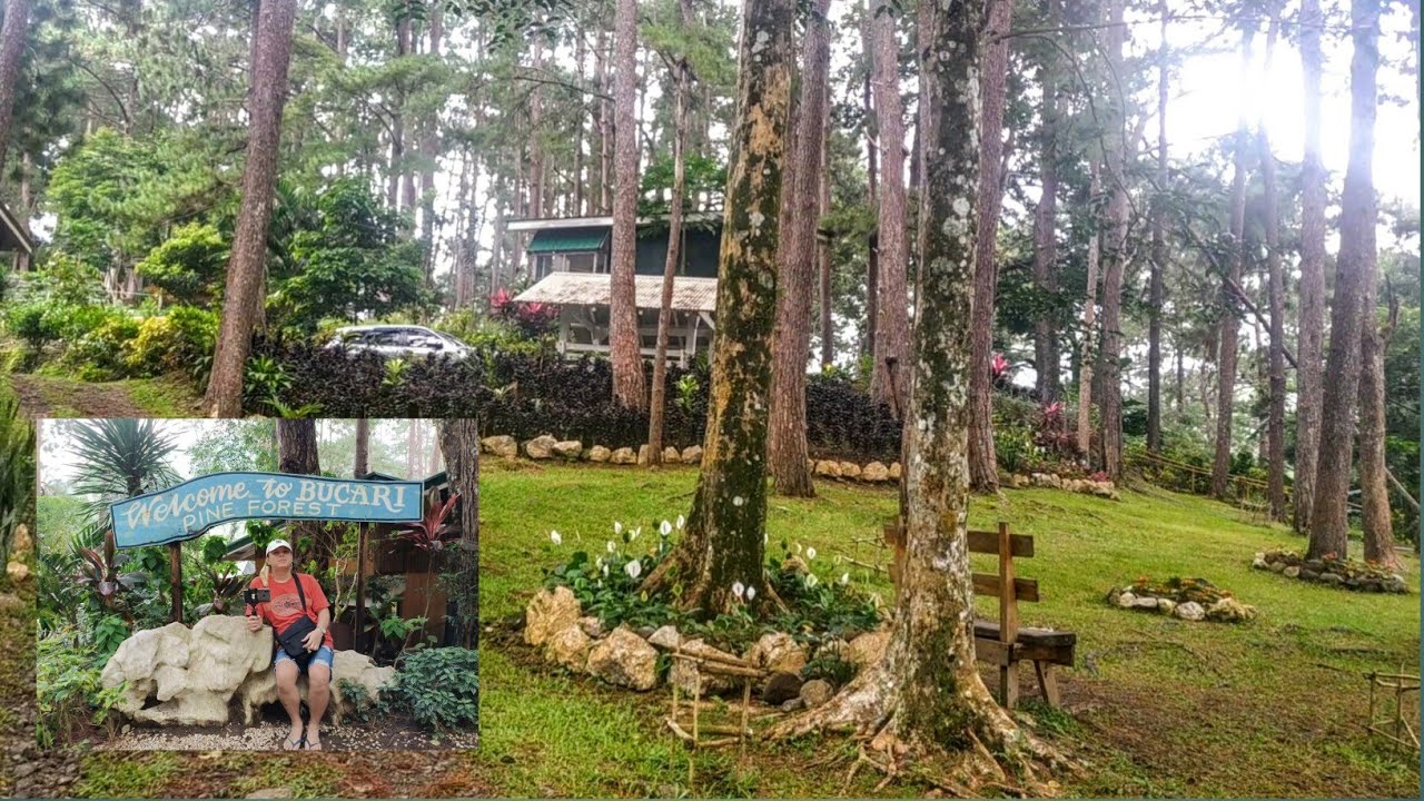 NAGLAAG SA SUMMER CAPITAL OF ILOILO | BUCARI PINE FOREST | BUCARI, LEON ...