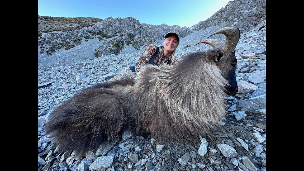 Female hunting reference- Tahr hunt, foot hunt, private wilderness land ...