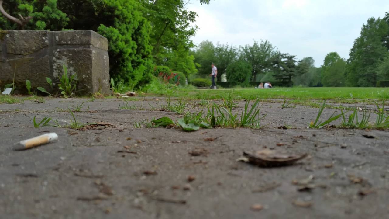 Cat 2 droid XL in Action Hoverboard - YouTube