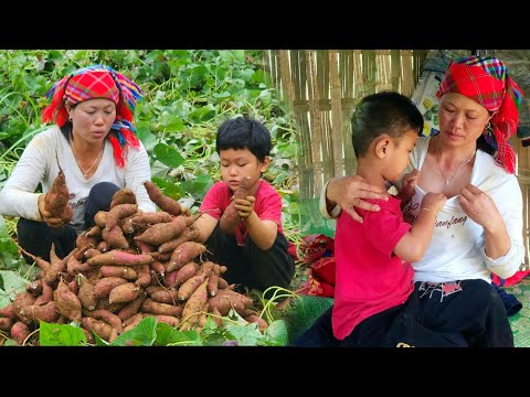 The mother and son went to harvest sweet potatoes and take them to the market to sell./Ly Thi xuan