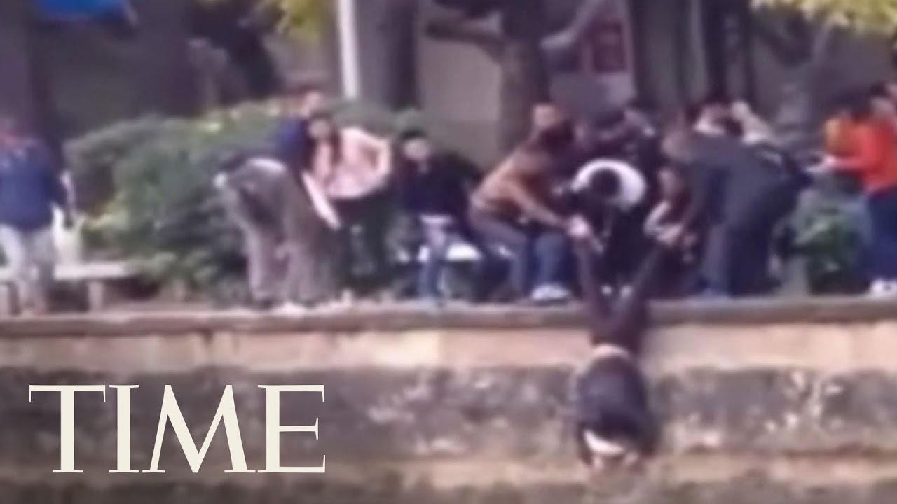 Elderly Man Saved from Drowning in China After Rescuers Form Human ...