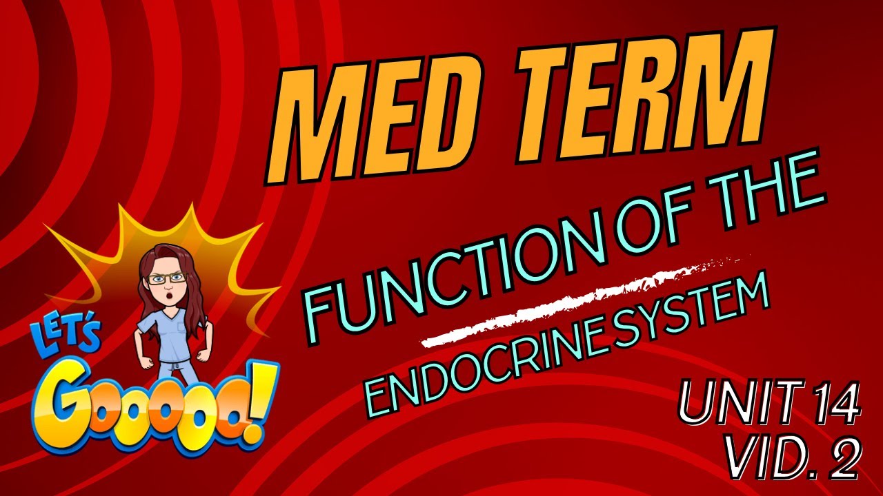 Endocrine System Functions Explained | Medical Terminology Unit 14 ...