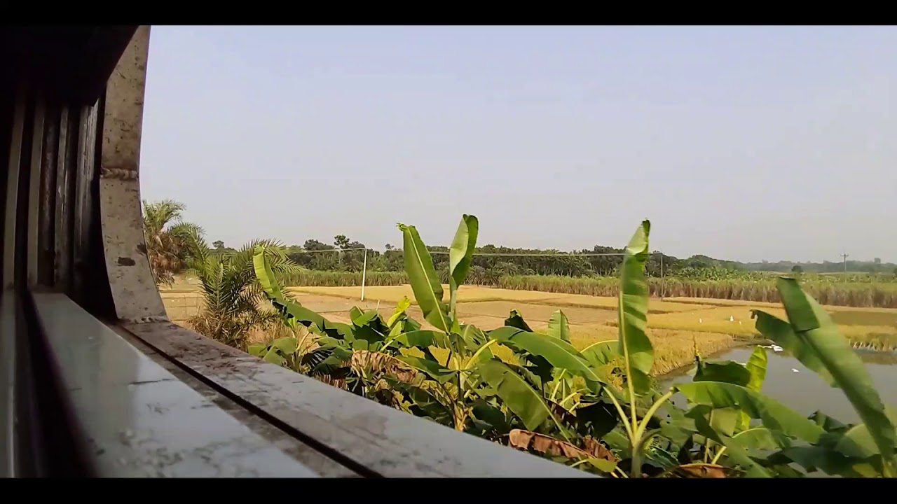 The train's window view in Bangladesh! - YouTube