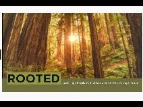 Sermon Series: ROOTED: Dwelling Deeply with Jesus and Other through ...