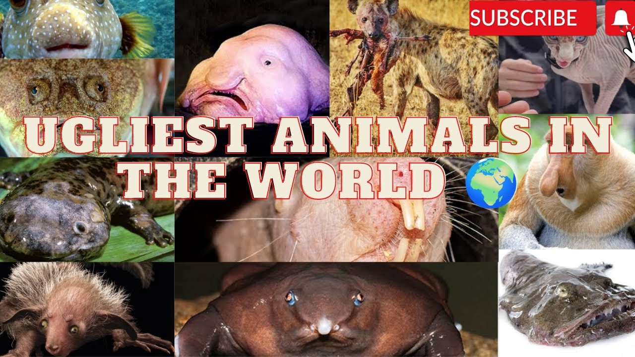 The Most Horrifying Creatures You Didn't Know Existed! #facts #world # ...