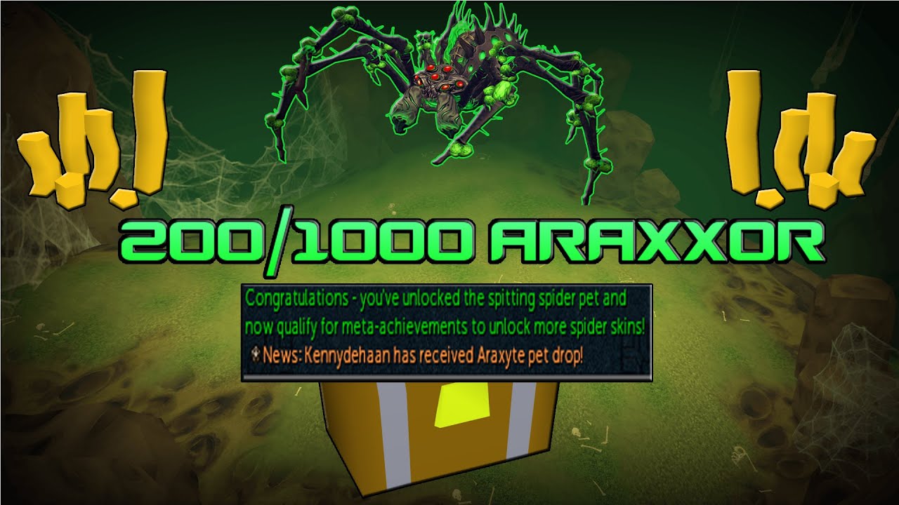 Araxxor Pet!!! | Loot from 200/1000 Araxxor - YouTube