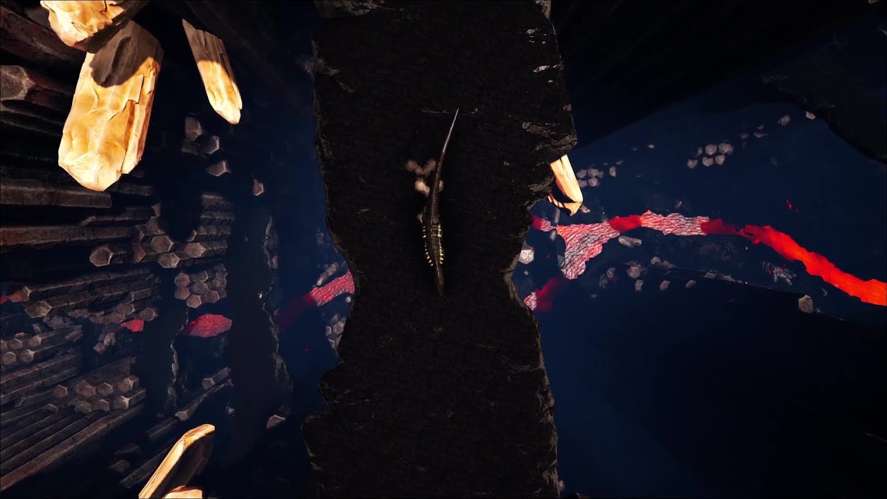 Prehistoric Beasts: Dracovenator - YouTube