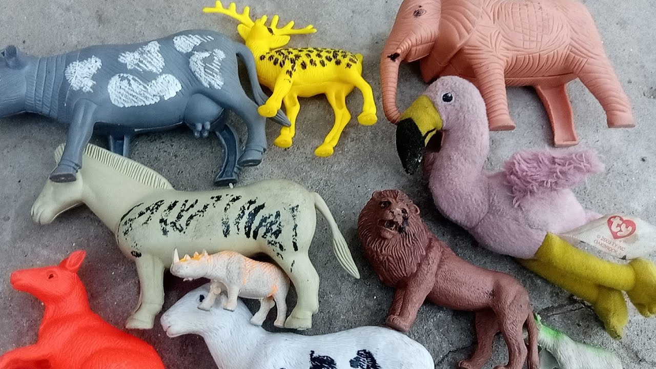 whild Animals zoo color full animal ll play with tigers lion deer ghora ...