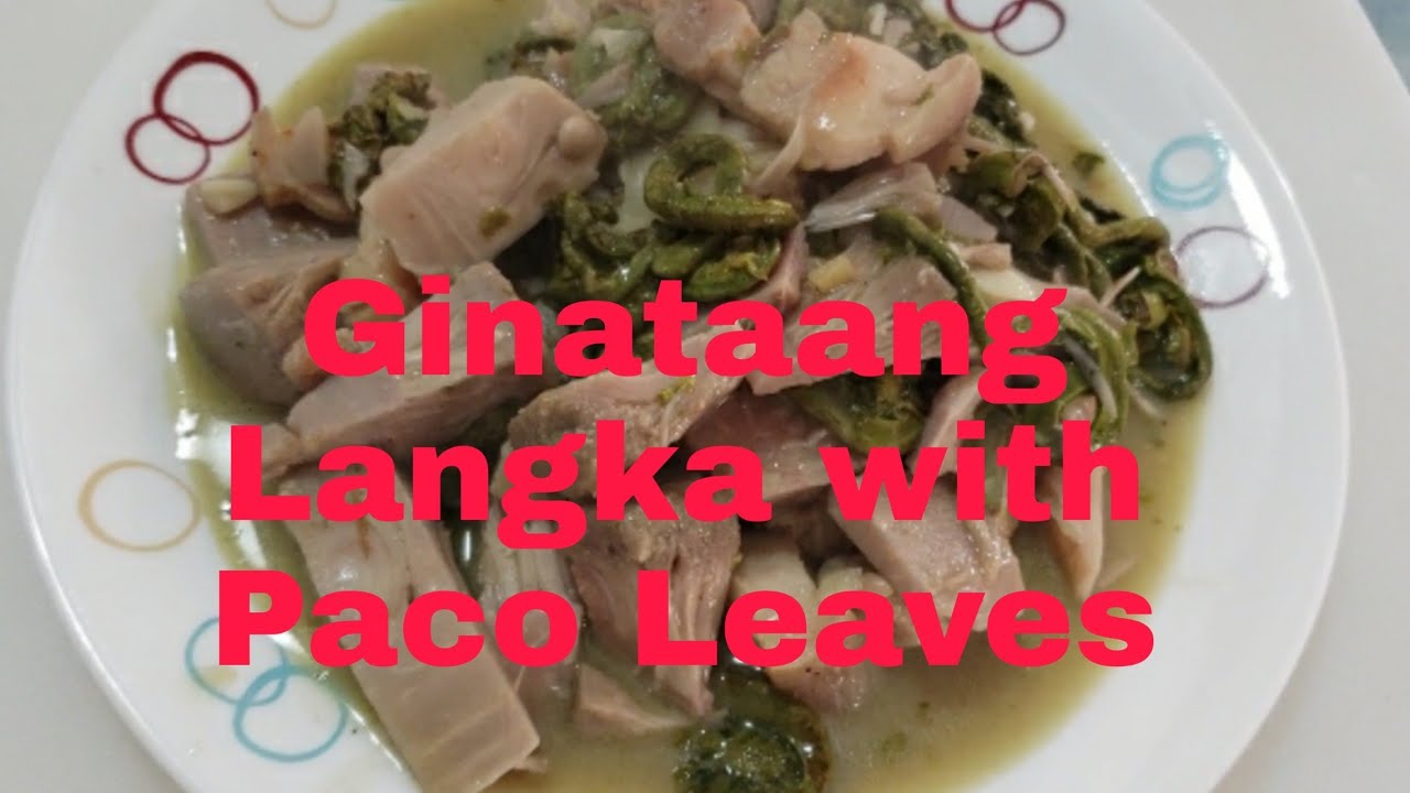 Ginataang Langka with Paco Leaves Recipe/ OslocVlog - YouTube