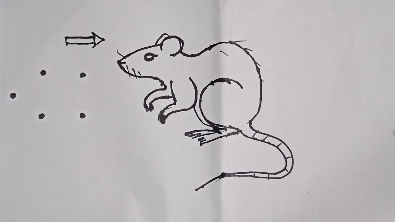 Drawing rat using mouse/rat using dots#mouse#easy drawing #dots mouse ...