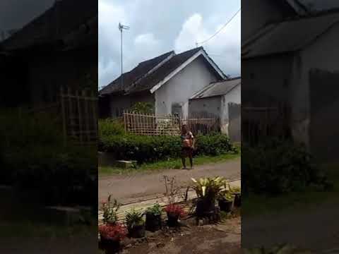 ORANG GILA NGAMUK NGOMONG JOROK