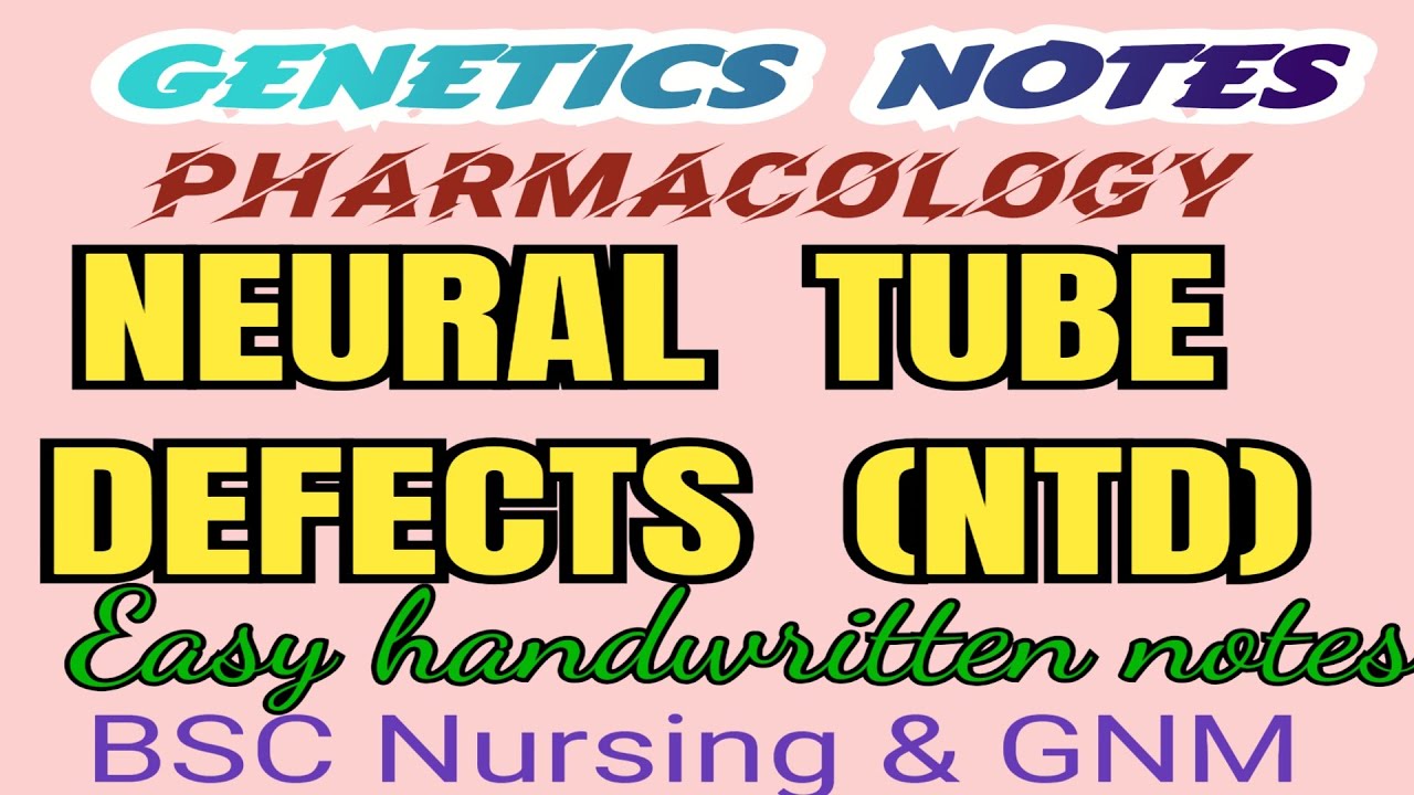 NEURAL TUBE DEFECTS, genetics, bsc nursing - YouTube