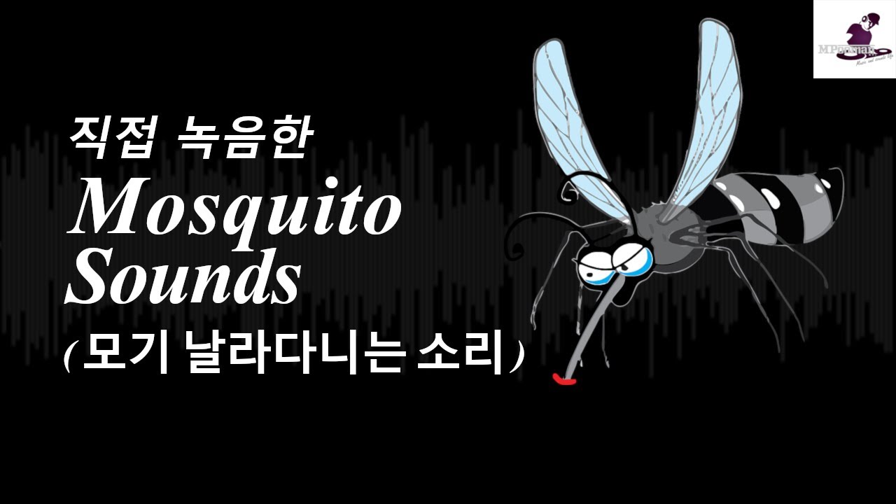 [무료효과음]모기 날라다니는 소리 /Mosquito Sound /蚊音, moustique son, mosquito sonido ...